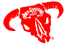 BAD COMPANY RODEO, Inc. – Pro Rodeo's Rockin'est Show
