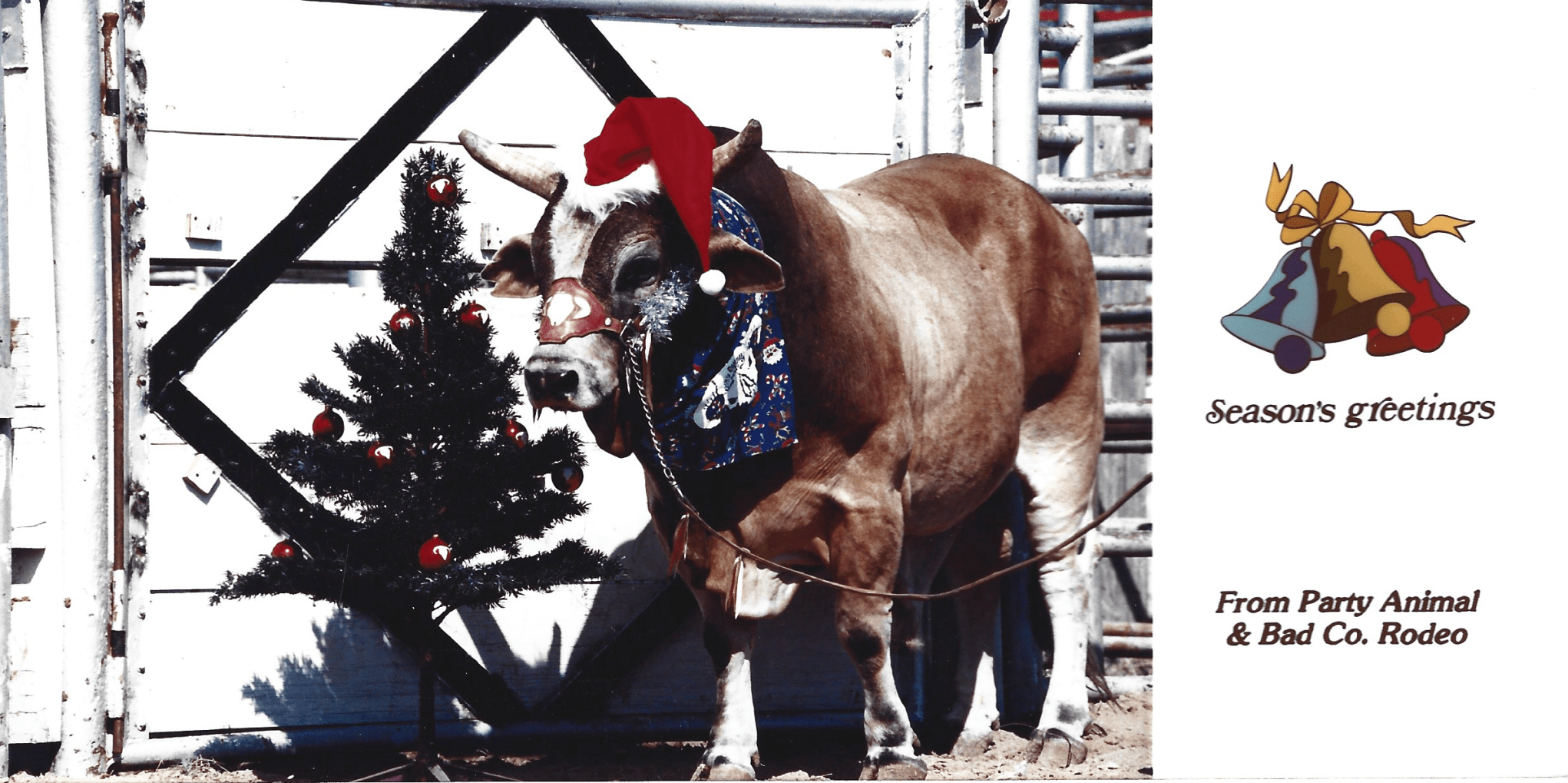 PARTY ANIMAL – BAD COMPANY RODEO, Inc.